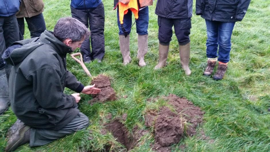 World Worm Week - Becks to Bay